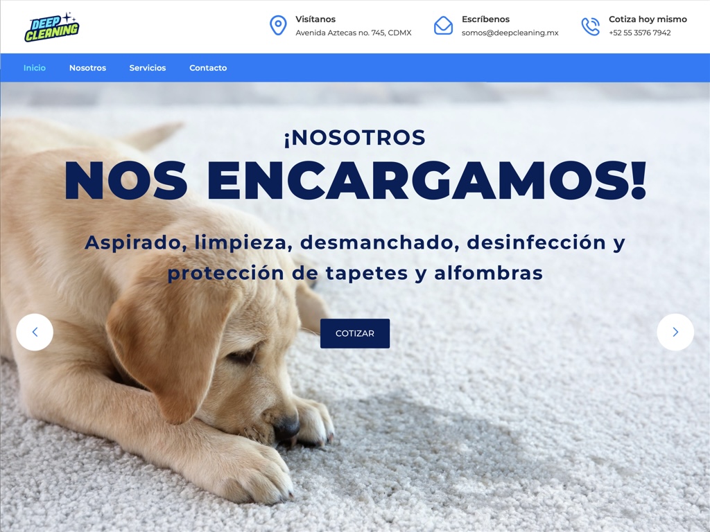 Inicio - Deep Cleaning